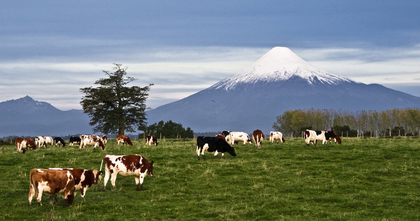 Osorno: Ubicaciòn, mapa, historia y todo lo que necesita saber sobre ella