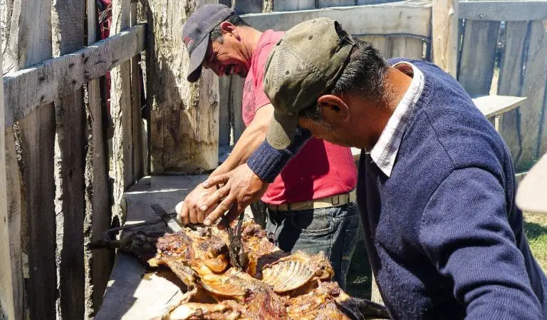 Panguipulli: ubicación, mapa, puerto, y mucho más