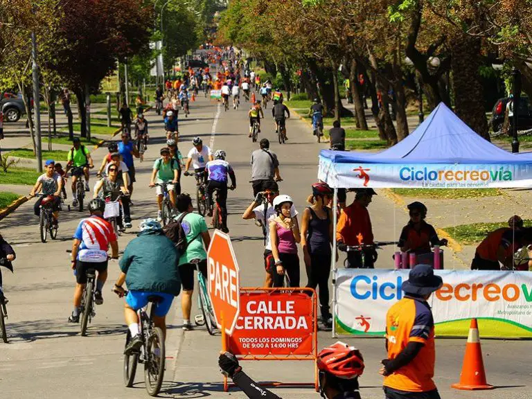 Quinta Normal: historia, ubicación y más sobre su entorno