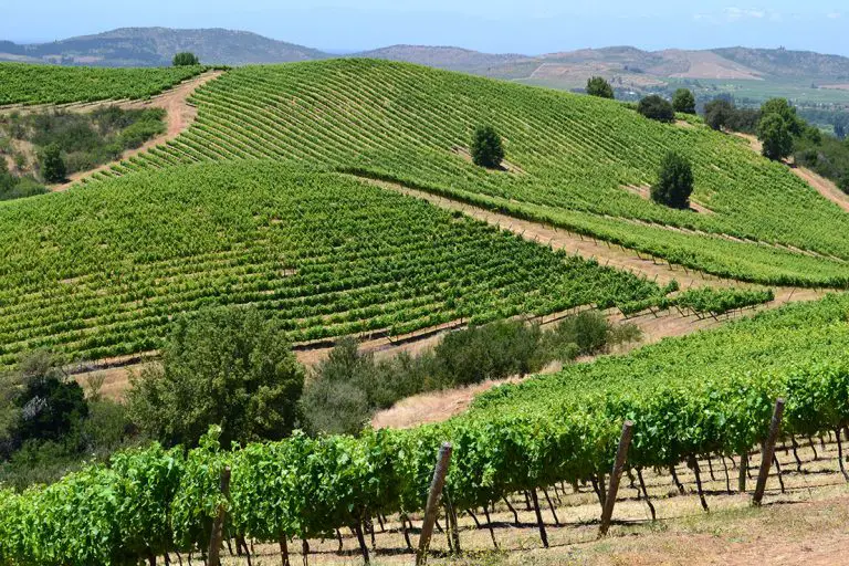 Talca: Ubicación, mapa, historia y todo lo que necesitas conocer