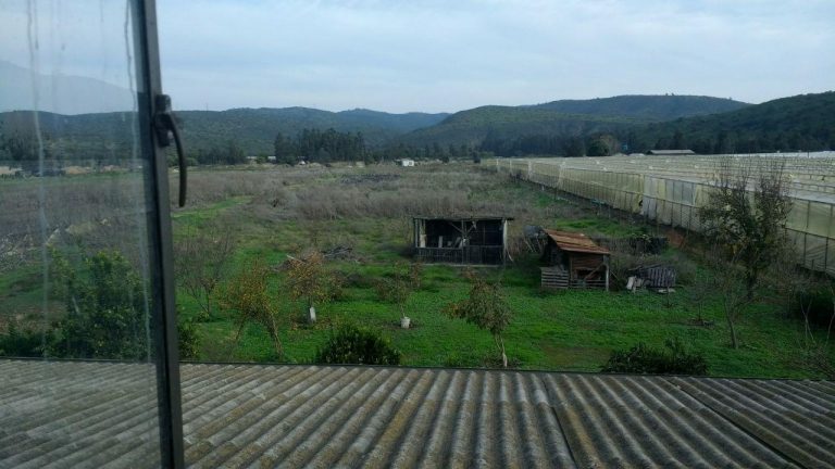 Quillota: historia, ubicación, mapa, cultura y mucho más