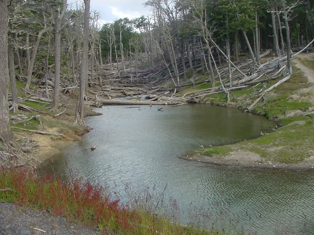 Timaukel: Mapa, y todo lo que desconoce de ella y más