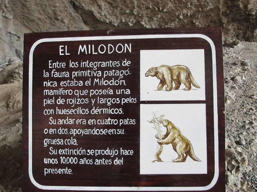 Descubre la historia y misterios de la Cueva del Milodon