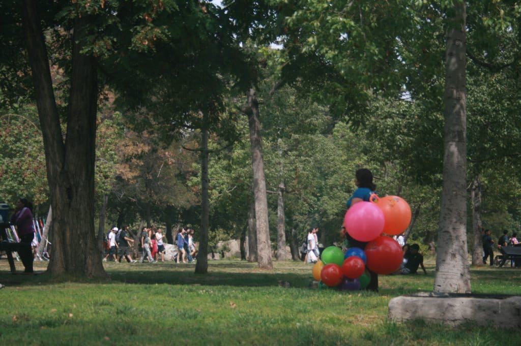 Parque O'higgins: dirección, y todo lo que desconoce