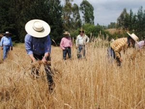 Santa Juana chile: mapa, y todo lo que desconoce.