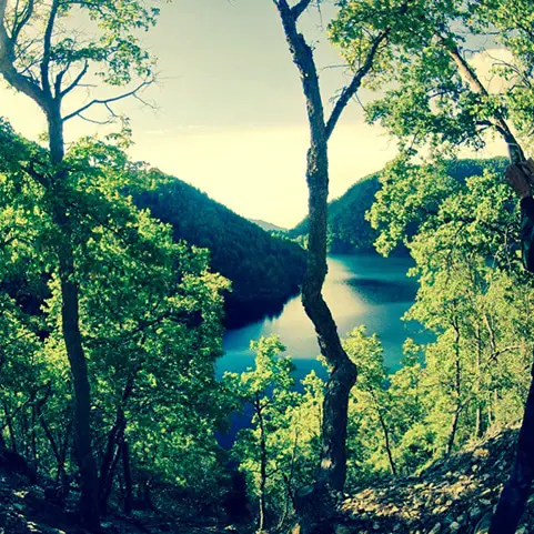 Parral Chile: historia, y todo lo que necesita saber y más.