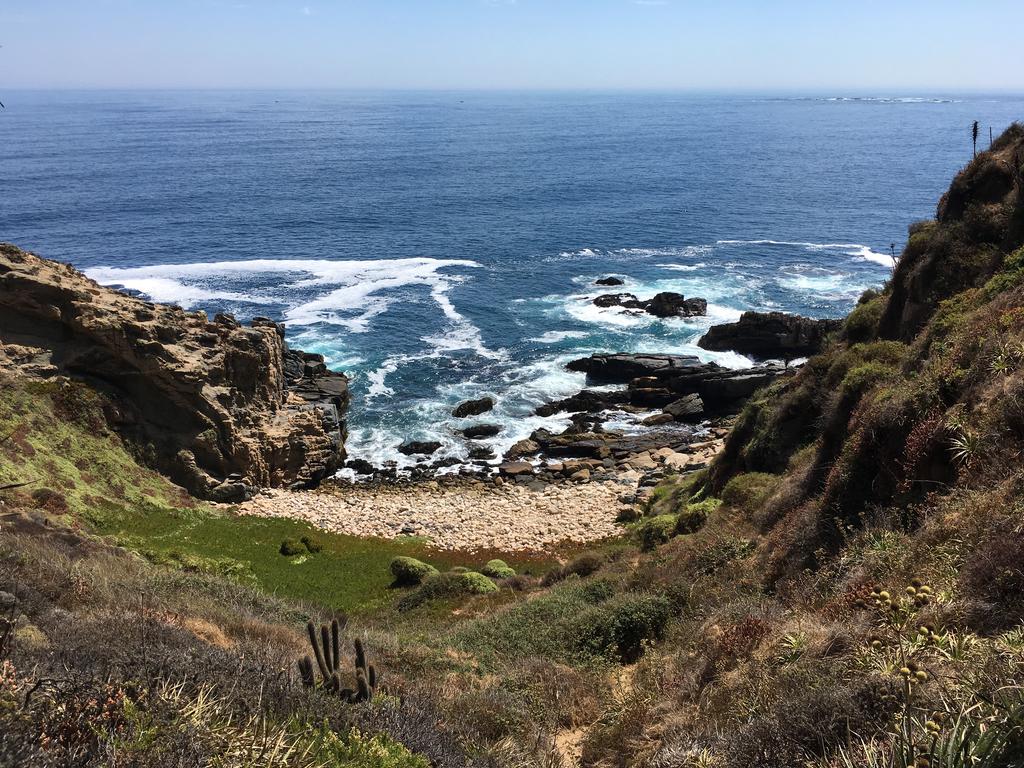 Descubre Puchuncaví: joya agraria y costera en la provincia de Valparaíso