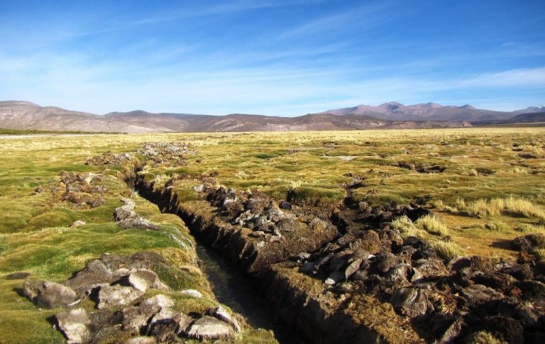 Tarapacá: clima, mapa, flora, y más. Descúbrelo aquí