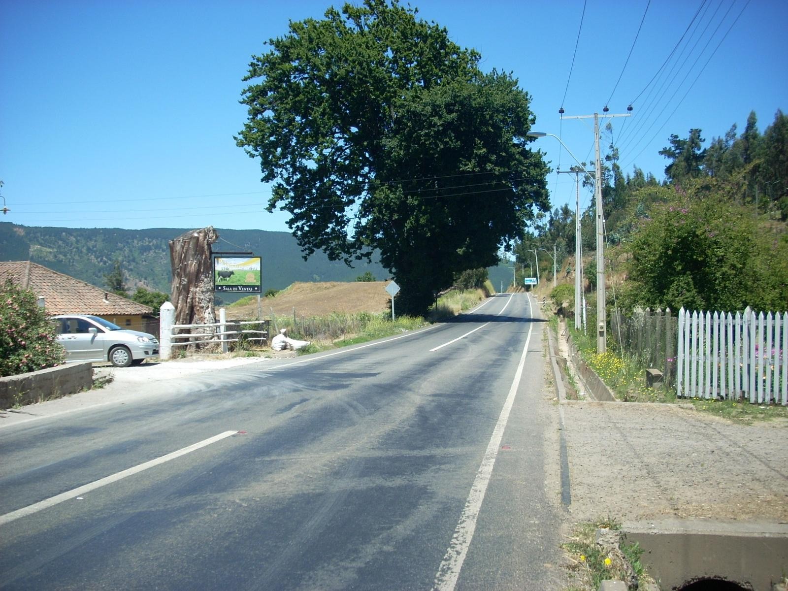 Region del Bio Bio: ubicación, turismo, clima, y mucho más