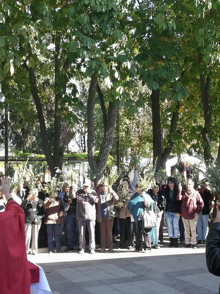 San Francisco de Mostazal: historia, mapa, turismo y más