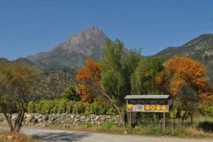 Descubre qué hacer en Limache: Turismo y rica historia